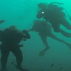 List of Scuba Classes at Scuba Fusion - Scuba diving lessons near me ...